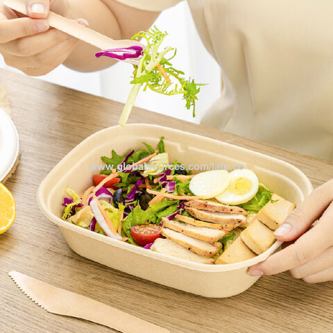 Biodegradable Food Containers Bamboo Paper Pulp Takeaway Disposable ...