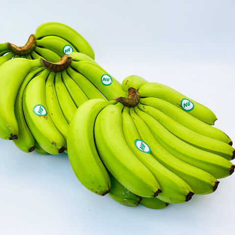 Buy Wholesale Vietnam High-grade Fresh Fruit Cavendish Banana With Iso ...