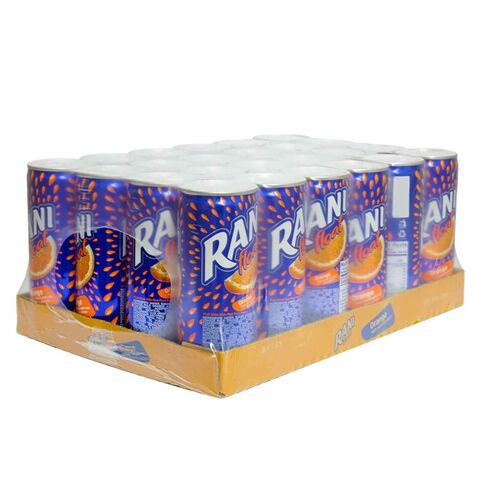 Buy Wholesale Canada Rani Pineapple Fruit Drink - Pack Of 24 - 8oz Cans ...