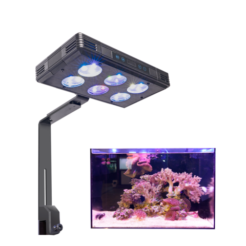 Full Spectrum Touch Control Marine Aquarium Clip-on Led Fixture Led ...