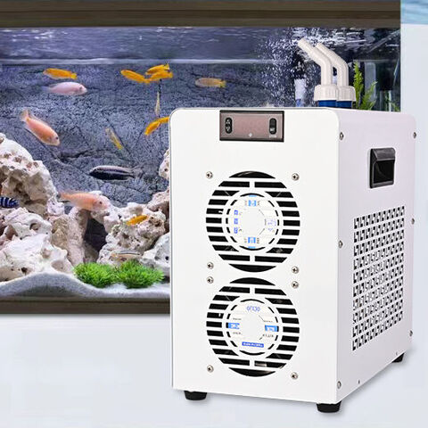 Aquarium Chiller Temperature Control: Expert Guide 2026 - Insider Fish