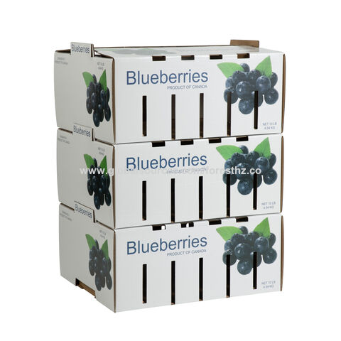 Buy Wholesale China Blueberries Customized Hard Material Fruit ...