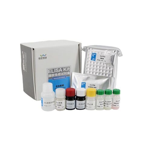 Buy Wholesale China Milk Vitamin Test Vitamin B12 Elisa Kit & Milk ...