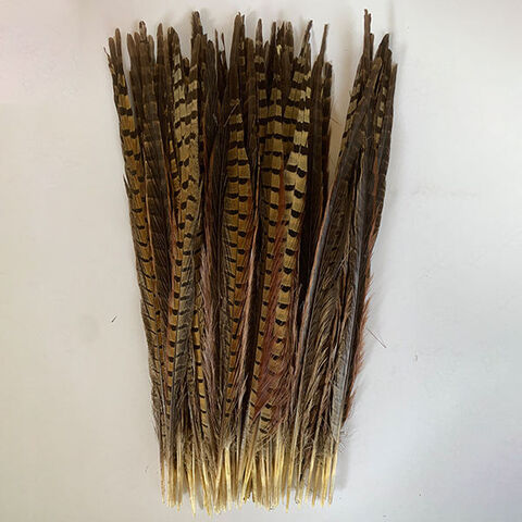 Bulk Buy China Wholesale Pheasant Tail Feathers For Decoration 16 ...