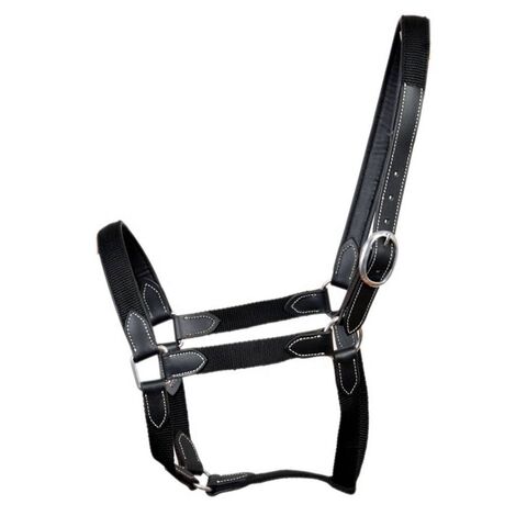 Buy British Indian Ocean Territory Wholesale Hybrid Horse Halter ...
