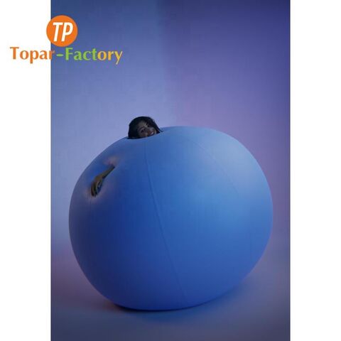 2 Piece Ball Suit Curvage Costume Inflatable Blueberry Inflation Suit ...