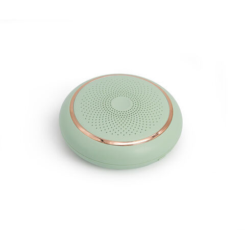 Buy Wholesale China Car Ozone Portable Ozone Generator Air Purifier ...