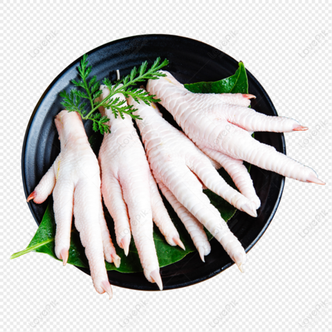 Buy Wholesale United Kingdom Frozen Chicken Paw Feet Top Grade Chicken ...