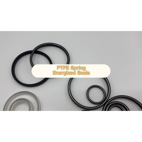 Buy Wholesale China Oem Ptfe Pom Upe Peek Material Rotary Seal Spring ...