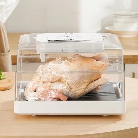 Buy Wholesale China New Kitchen Appliance Defrosting Box Quickly ...