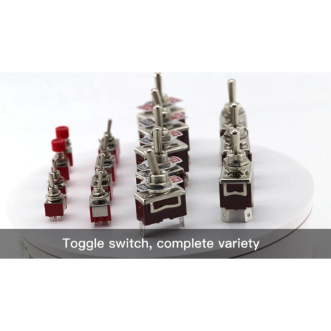 Buy Wholesale China 12v 24v 2pin On Off Latching Automotive Carling ...