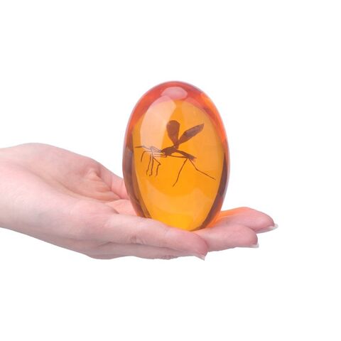 Buy Wholesale China Hot Sell Custom Amber Paperweight With Mosquito ...