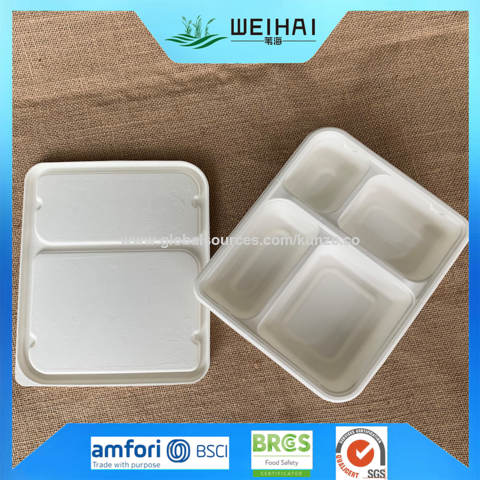 Buy Wholesale China Eco-friendly Biodegradable Sugarcane Bagasse Flat ...