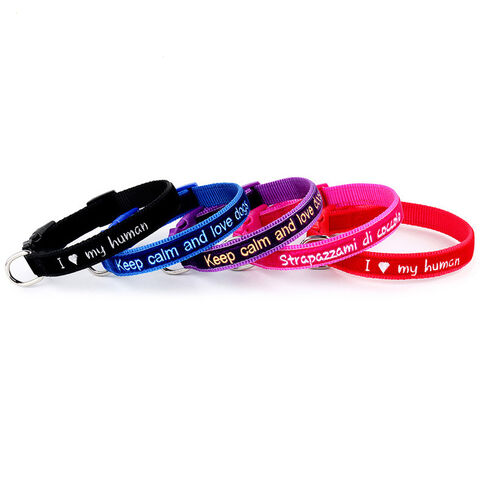 Pet Accessory Flocking Custom Slogan Dog Collars Nylon Pet Dog Collar ...