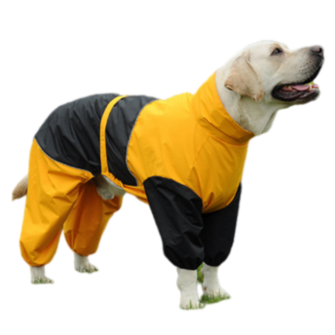 Buy Wholesale China Dog Storm Suit High Collar Gold Wool Labrador ...