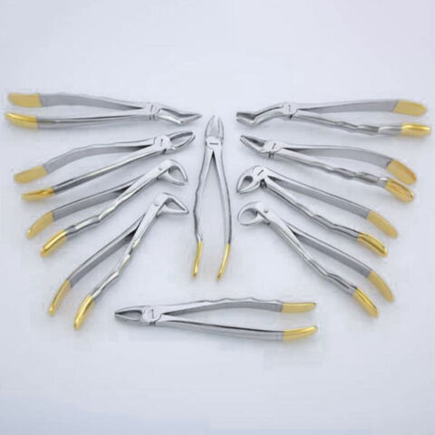 Buy Wholesale Pakistan Gold Adult Extraction Forceps Tooth Extracting ...