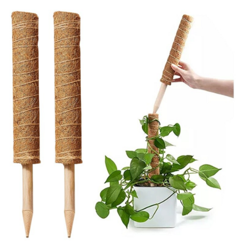 Buy Wholesale Vietnam Eco Friendly Coconut Palm Stick Coir Moss Totem ...