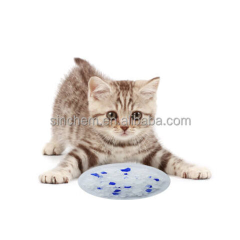 Buy Standard Quality China Wholesale 3.8l Jar Cat Litter /barrel Cat ...