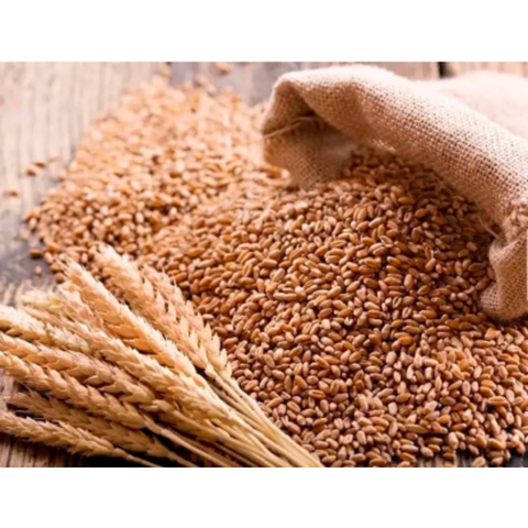 Buy Wholesale South Africa Top Grade Wheat Bran For Animal Feed ...