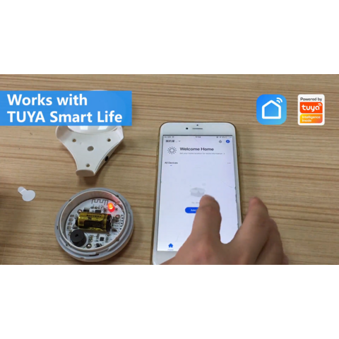 Buy Wholesale China Tuya App Smart Life Remote Control Wireless Water ...
