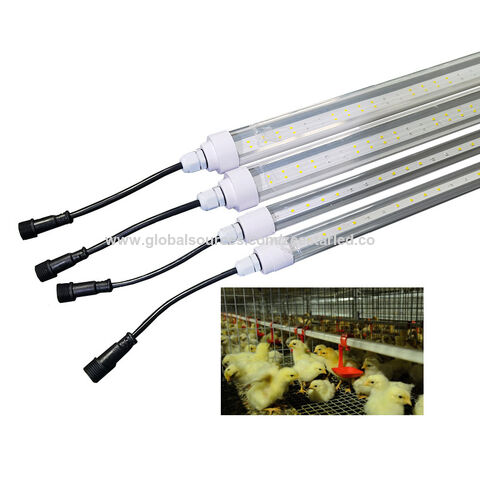 Buy Wholesale China Dimmable 2700-6500k Blue Poultry Led Light Lamps ...