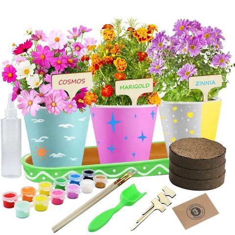 Buy China Wholesale Paint And Plant Kit For Kids - Flower Growing ...
