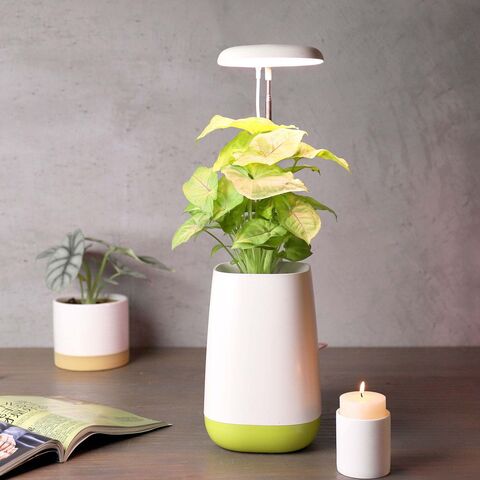 Buy China Wholesale J&c Planter Mate Height Adjustable Indoor Plant ...