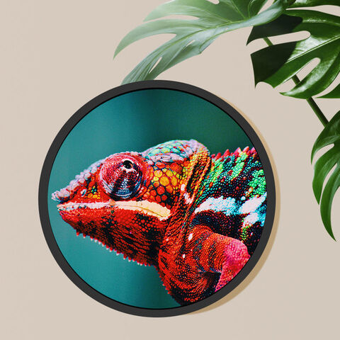 3.6/4/5/23.6 Inch Custom Round Lcd Advertising Media Display Circular ...