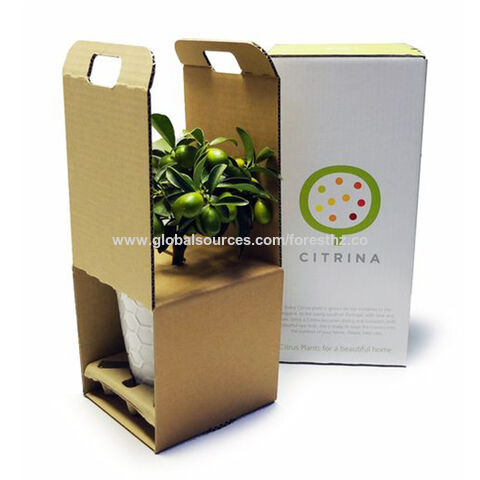 Buy Wholesale China Customized Paper Plant Box With Inserts Shipping ...