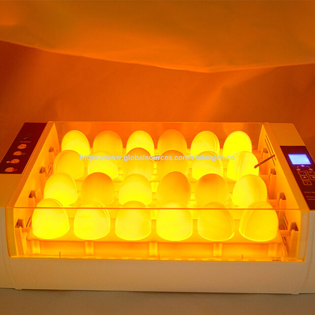 Buy Wholesale China Smart Chicken Incubators For Hatching Eggs With ...