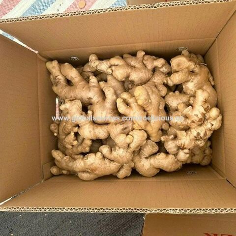 Buy Wholesale Canada Wholesale Fresh Ginger From Europe & Fresh Ginger ...