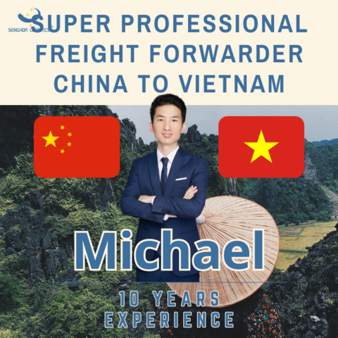 Buy China Wholesale Super Professional Freight Forwarder In Shipping ...