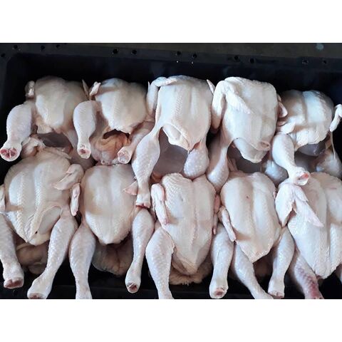 Buy Wholesale Canada Halal Frozen Chicken Mid Joint Wings / 3 Joint ...