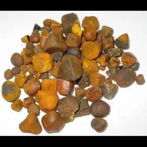 Buy Wholesale United States Cattle Gallstones And Cow Gallstones ...