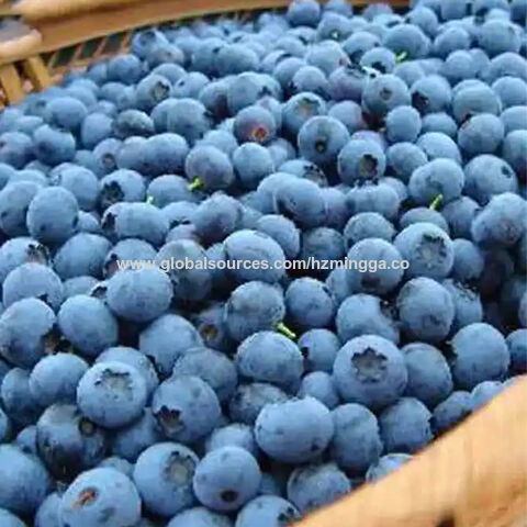 Buy Wholesale China Factory Outlet Low Price Good Taste Iqf Fresh ...