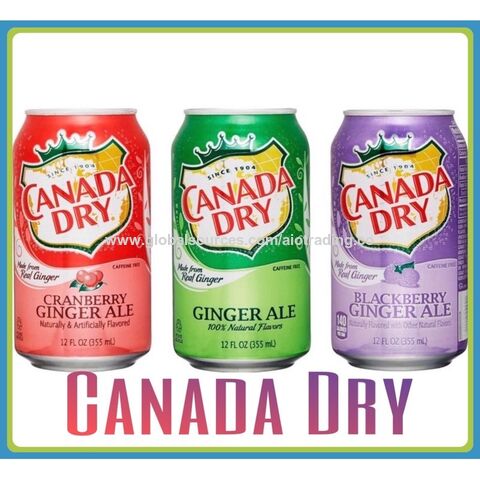 Buy Wholesale United States Canada Dry Ginger Carbonated Drink 355 Ml ...