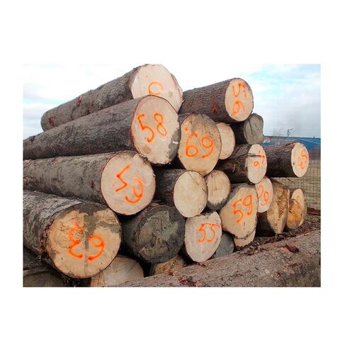 Buy Wholesale United States Wholesale Wood Supplier | Spruce Round Logs ...