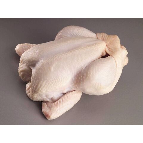 High Quality Healthy And Natural Frozen Iqf Whole Chicken - United ...