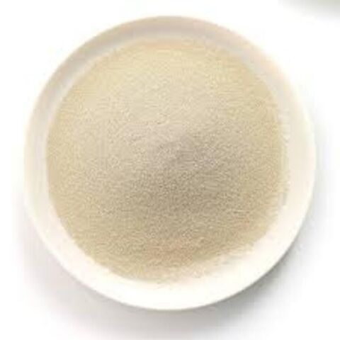 Buy Wholesale Canada Dried Yeast Powder Dry Yeast Selenium Enriched ...