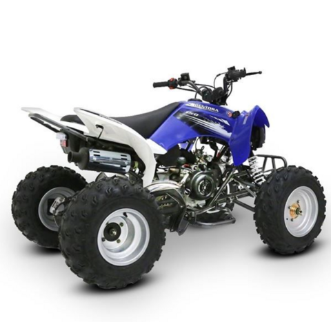Dirt Bikes Automatic Gear 250cc 4 Wheeler Quad Bike Motor Atv - Expore ...