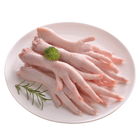 Buy Wholesale Thailand Natural Quality Halal Frozen Chicken Feet ...