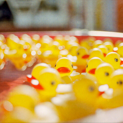 Little Yellow Duck New Pp, 117vicky Duck 1027 New, Automated Test1 ...