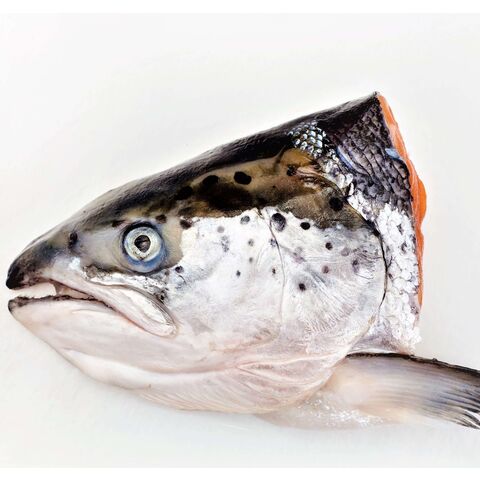 Bulk Buy United Kingdom Wholesale Sockeye Salmon Heads Fish Heads ...