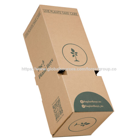High-quality Live Plants Decoration Shipment Corrugated Mailing Flower ...