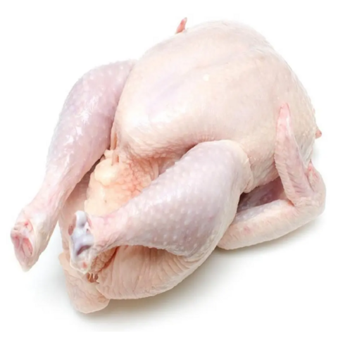 Bulk Buy Germany Wholesale Buy Halal Whole Frozen Chicken For Export ...