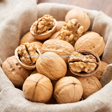 Good Quality Natural Walnuts Inshell And Unshelled Available Walnut ...