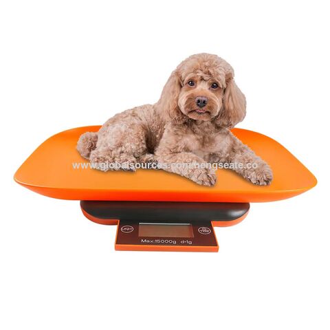 Wholesale Mini Large Platform Digital Pet Scale Electronic Digital ...