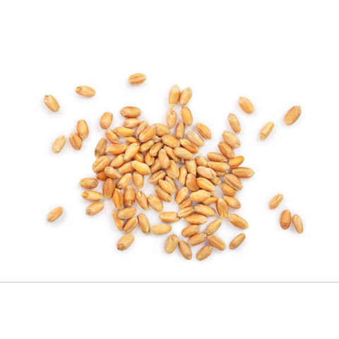 Buy United States Wholesale Supplier Selling Top And Premium Quality ...