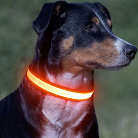 Rechargeable Super Bright Safety Light Glowing Collars For Dogs Led Dog ...