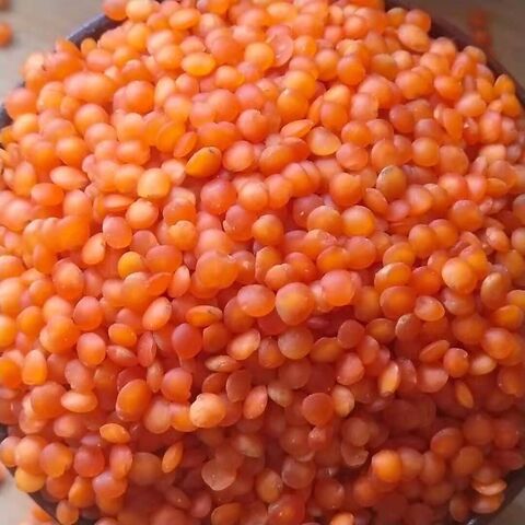 Supplier Best Quality Green Lentils/red Lentils/yellow Lentils Available In Bulk/lentils Widely ...